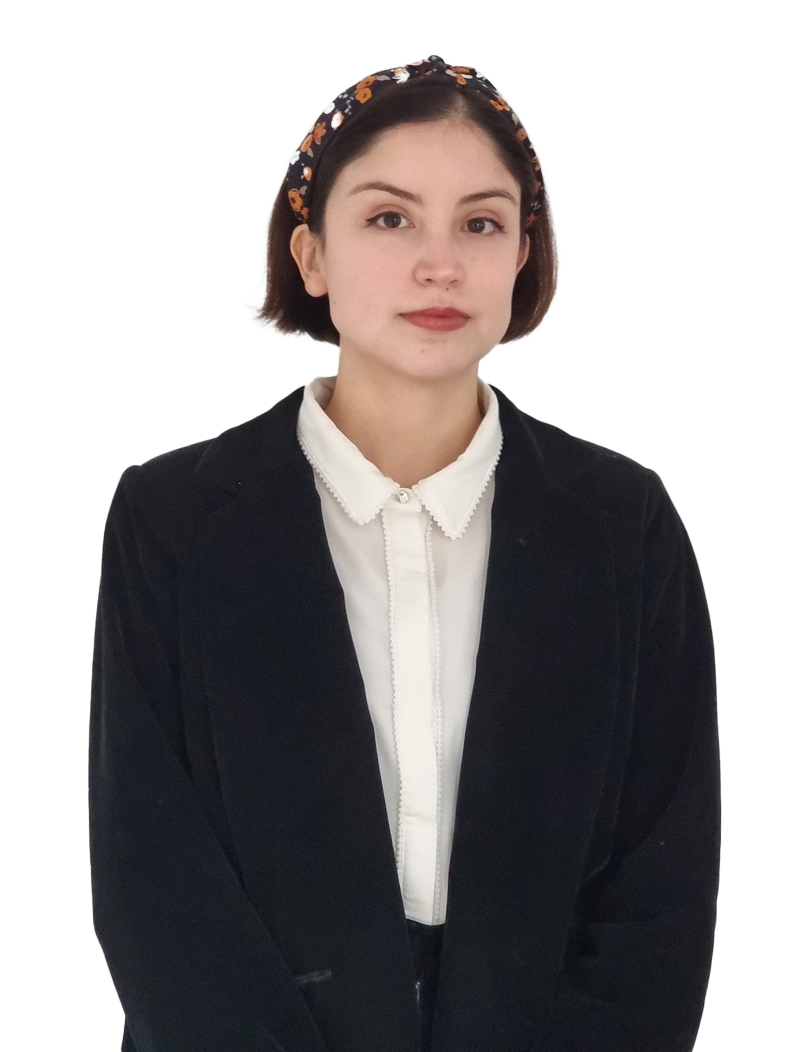 Fernanda Peña Zuñiga - Aylwin Estudio